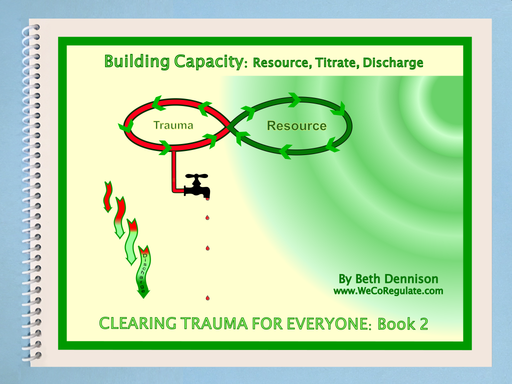 Clearing Trauma Book 2: Building Capacity (ebook only) - The Center for ...