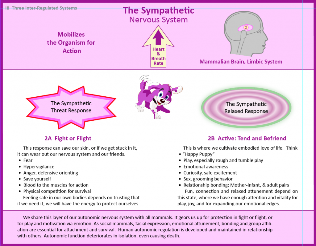 Clearing Trauma Book 3: Threat and Safety - Our 3 Layer Autonomic ...