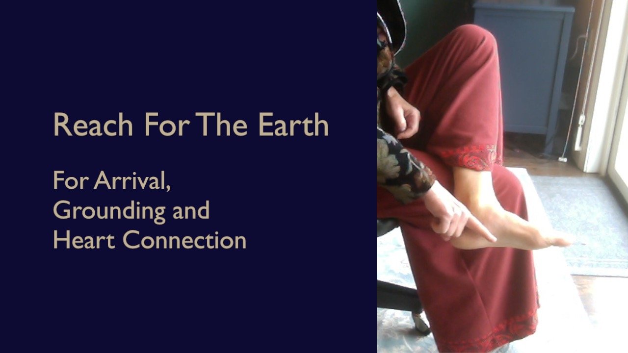 Body Up! Video Library - The Center for Body Up Co-Regulation